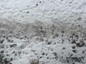 frozen ground textures - Texturelib